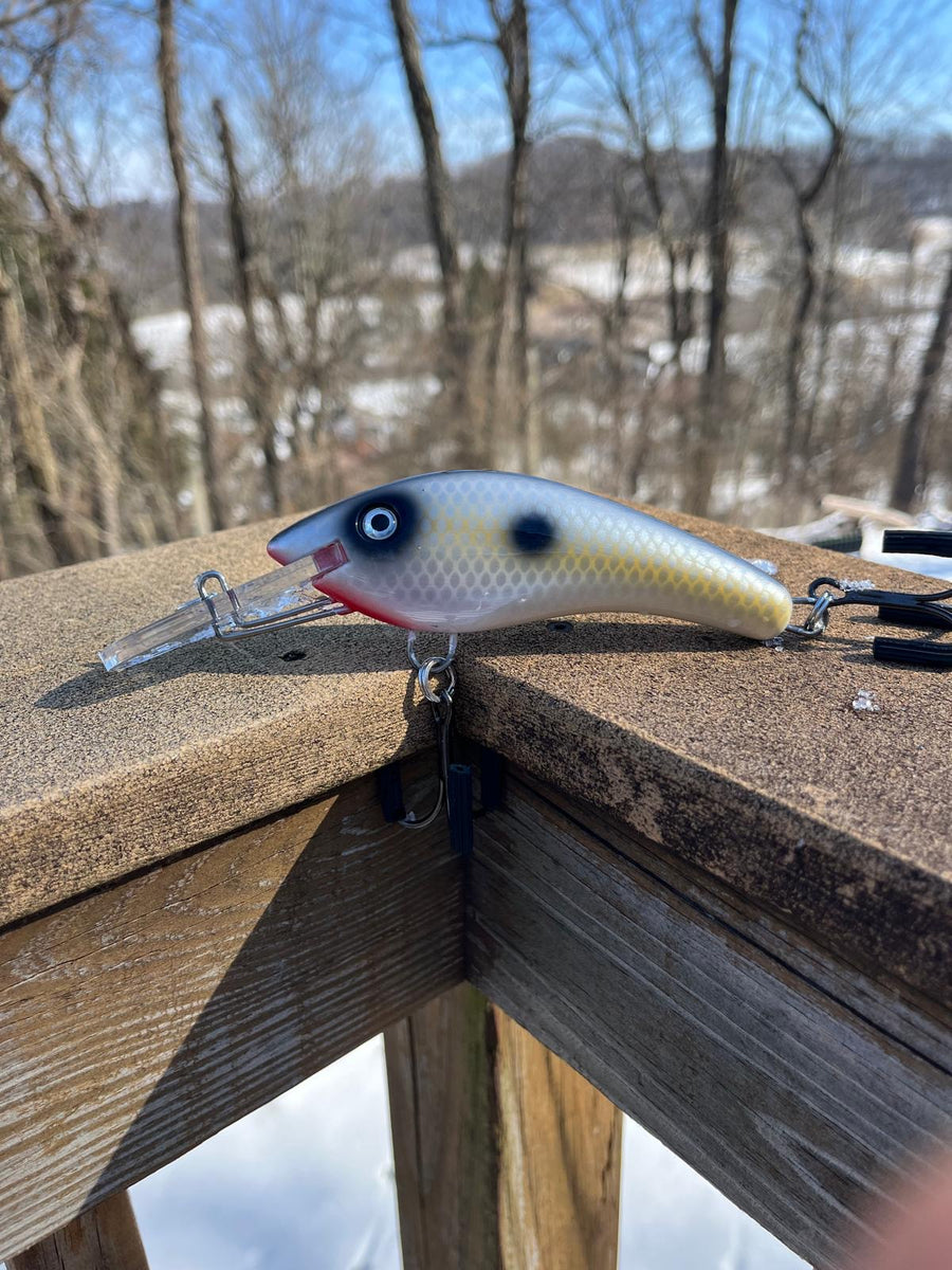5” K.O Shad Synthetic – Blue Water Baits USA