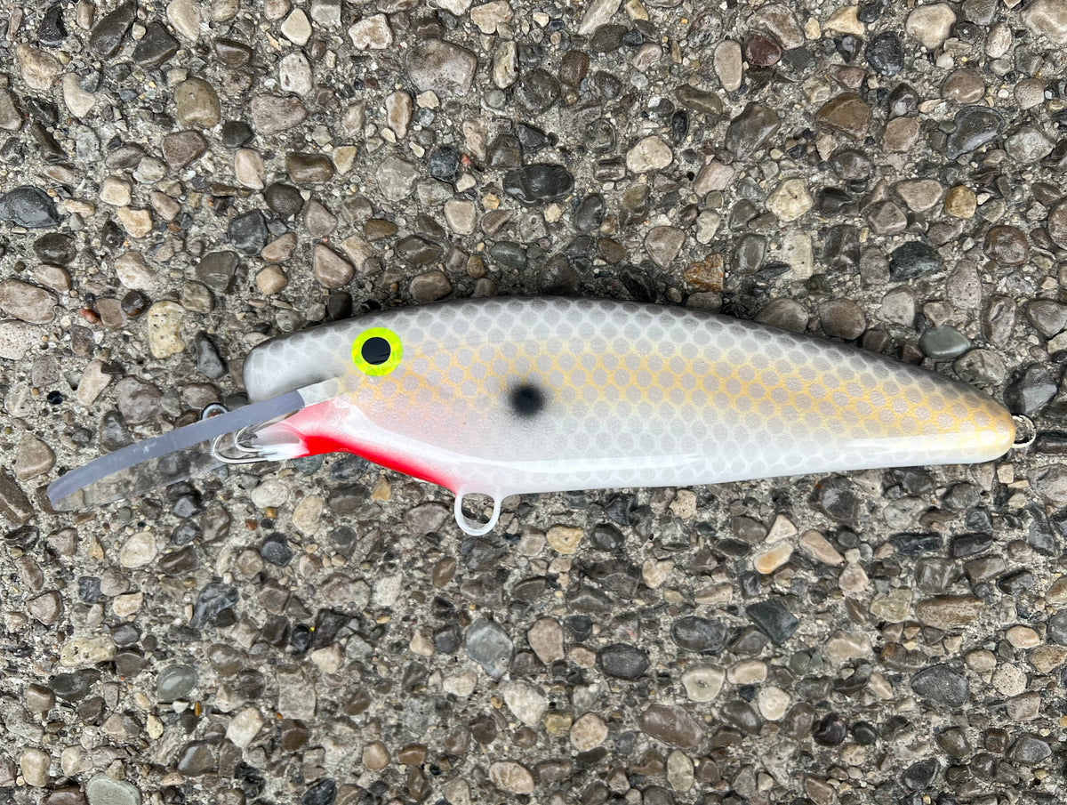 Hamrick Shad - White Belly - 7SS – Blue Water Baits ResX