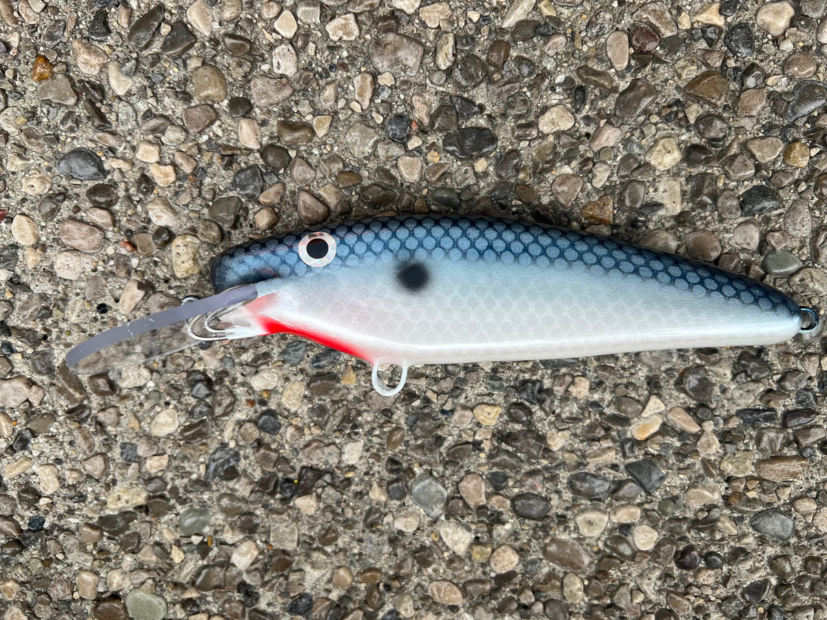 Iridescent Shad - Pearl Belly - 7SS – Blue Water Baits USA